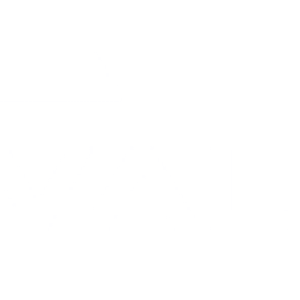 svanson-france-logo-blanc - SVALSON